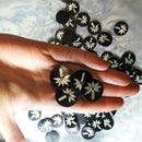 Black shell buttons