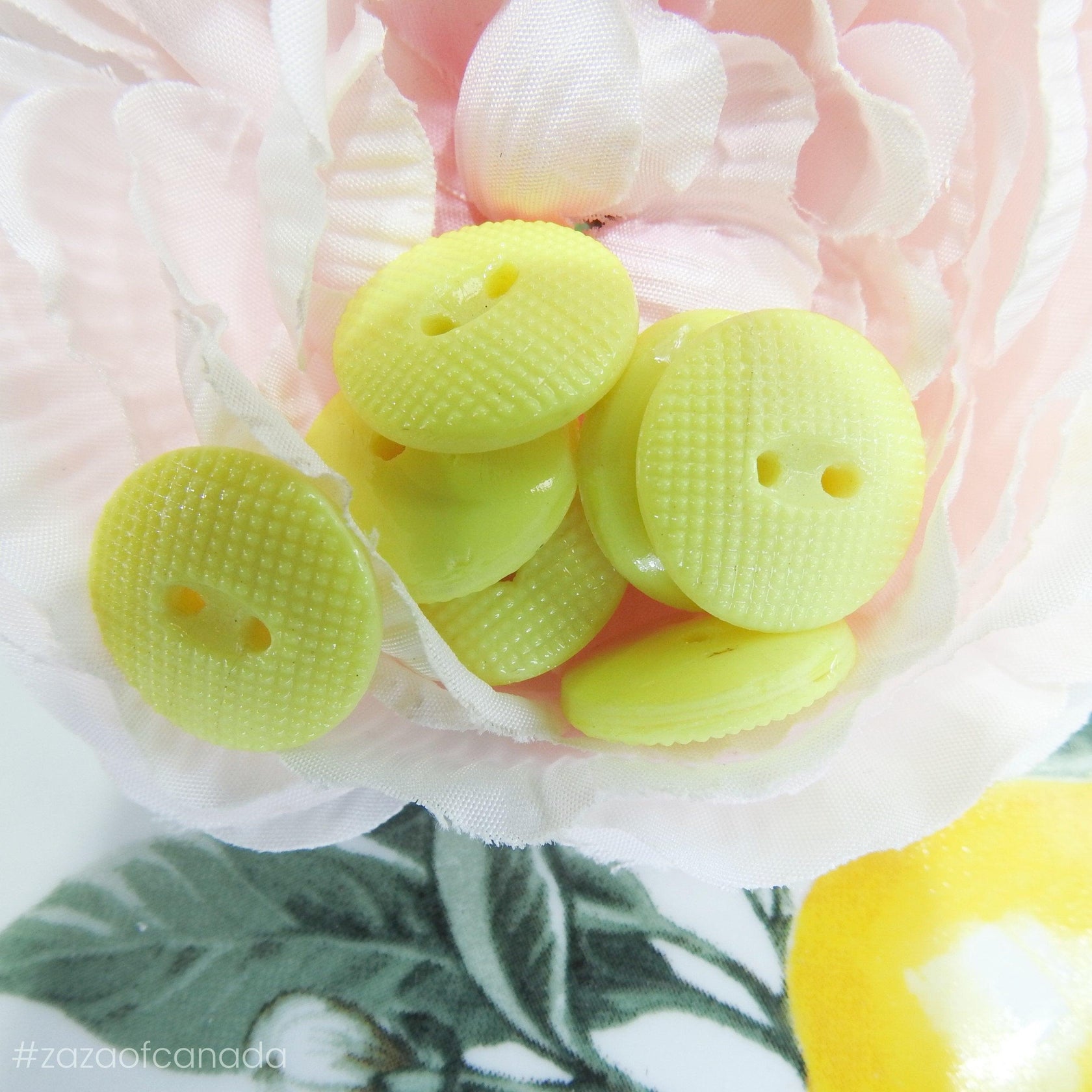 Vintage novelty buttons – zazaofcanada